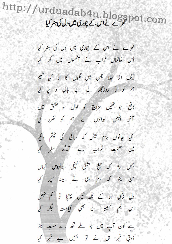mir poems