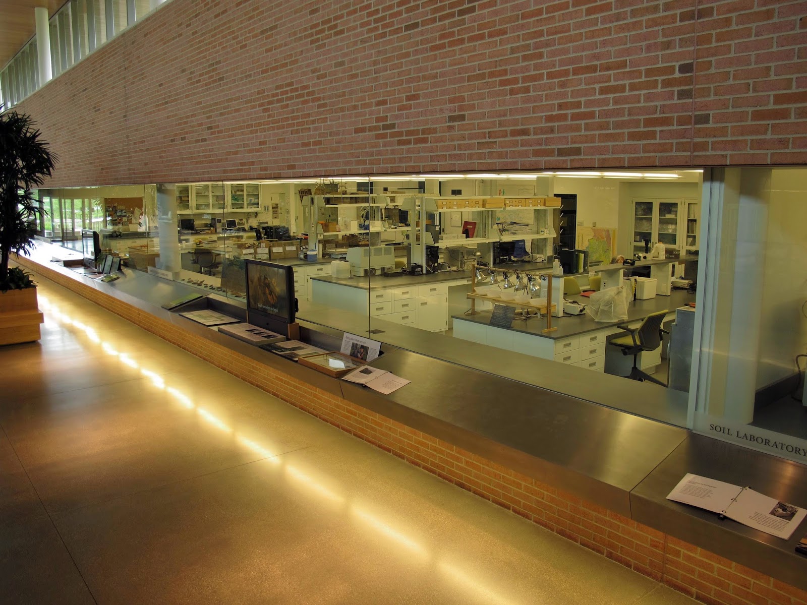 En el jardin: Jardín Botánico de Chicago: vale la pena.