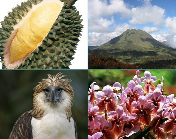 Everything Pinoy: Kadayawan sa Dabaw