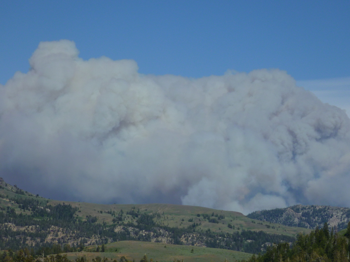 Trailing Ahead: Wind-driven smoke and growth of the Washington Fire