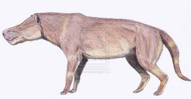 Geoecograph: Киты когда-то ходили на копытах