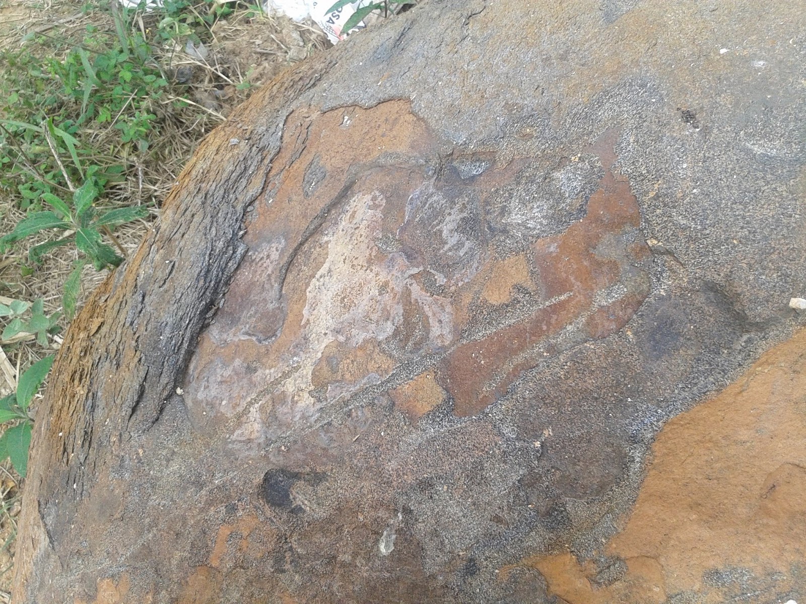 Meu Cosmos: Nota de uma aula de campo (geologia/pedologia) da UFV.