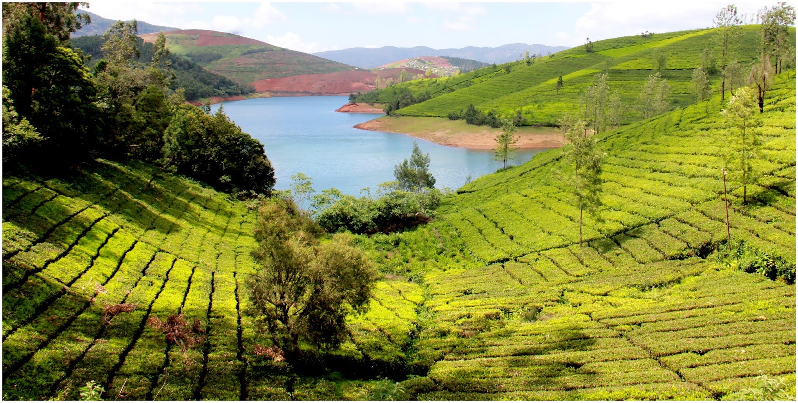 Journey with my Camera: Avalanche Lake - Ooty