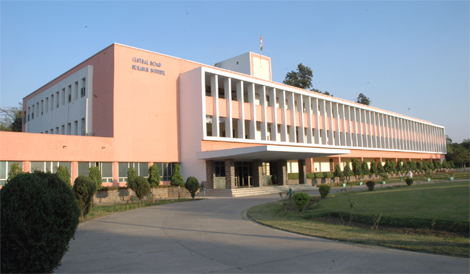 ThePsycheDrives: Training Programme on Driver Diagnostics at CRRI, New ...