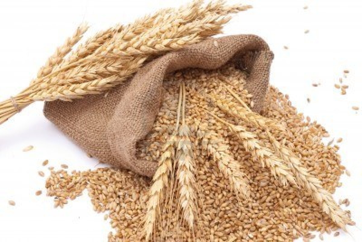 delicia natural organicos: Semilla de Amaranto y Trigo