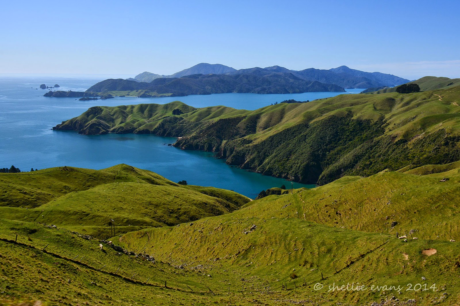 Two Go Tiki Touring: The Road to French Pass