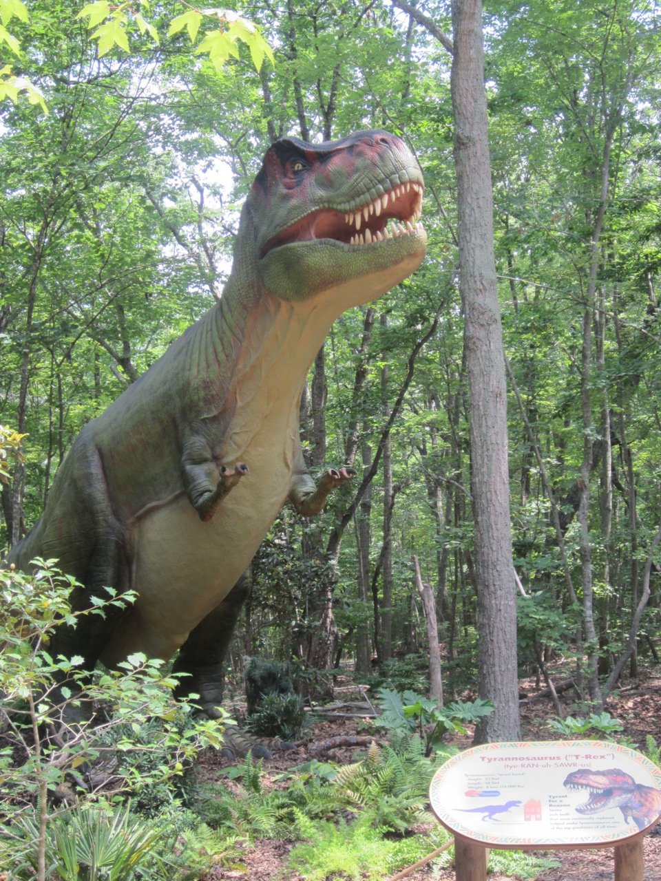 The Stir Crazy Moms' Guide to Durham: Dinosaurs at the Asheboro Zoo
