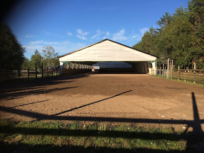 Välkommen till Open Heart Ranch!: På Ranchen