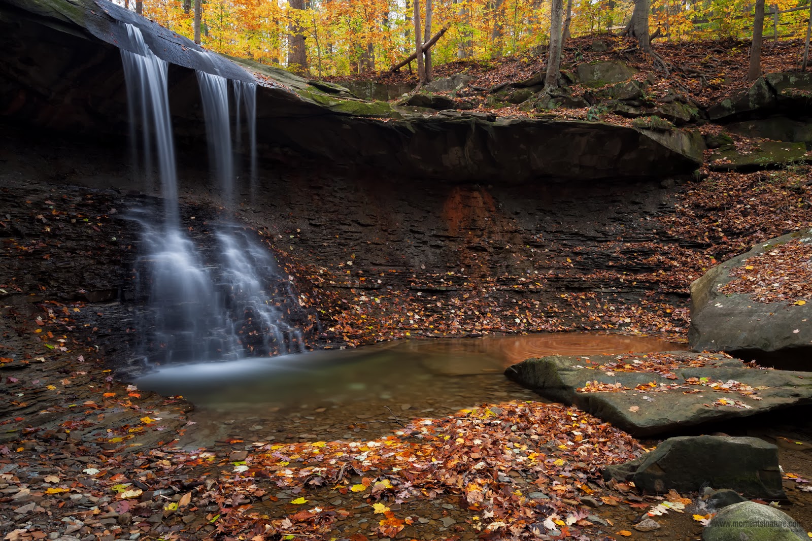 Joshua Clarks': Journeys in Nature Photography: Autumn in Ohio