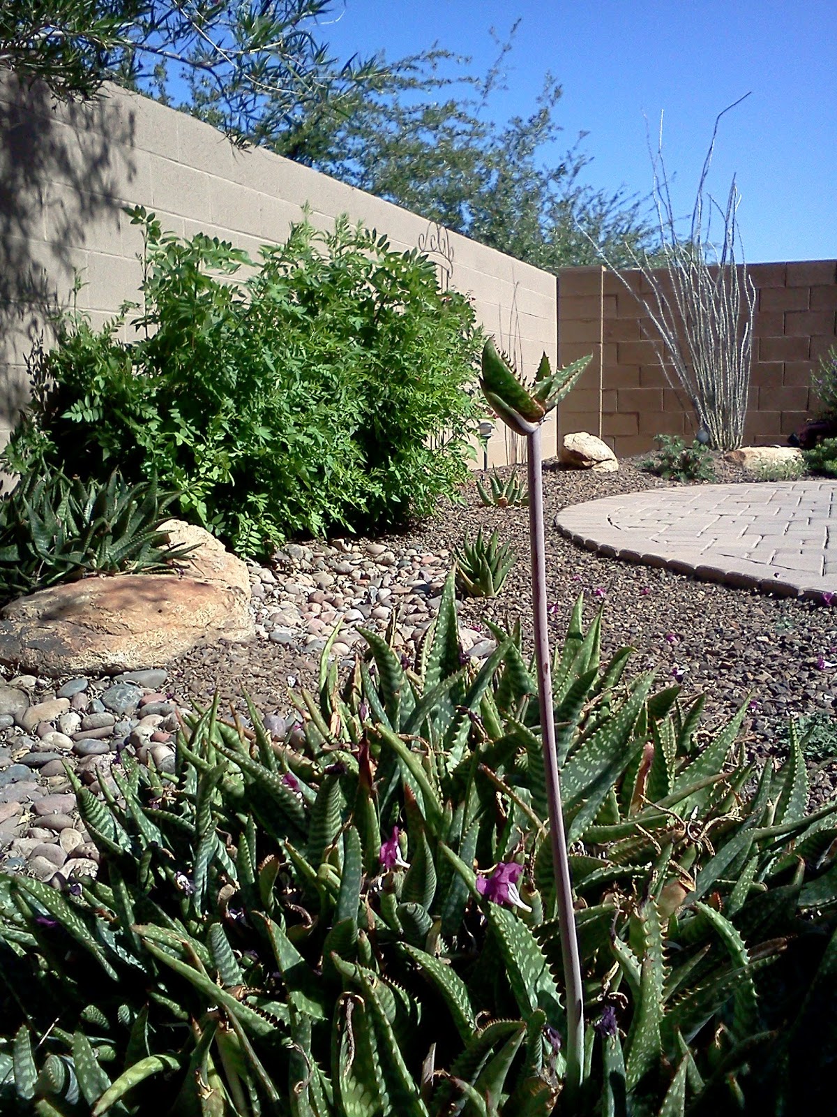 DeBlog! DeBlog!: It's Audrey III! Eeeek!