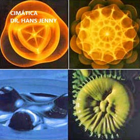 EL PODER DEL SONIDO: PRINCIPIO ARMÓNICO (Nuestra Células responden al ...