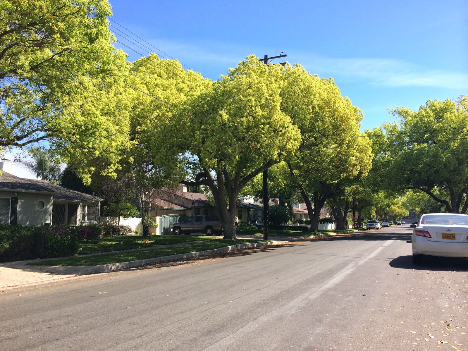 Betancourt Real Estate Group BLOG: Beautiful Day in Encino!