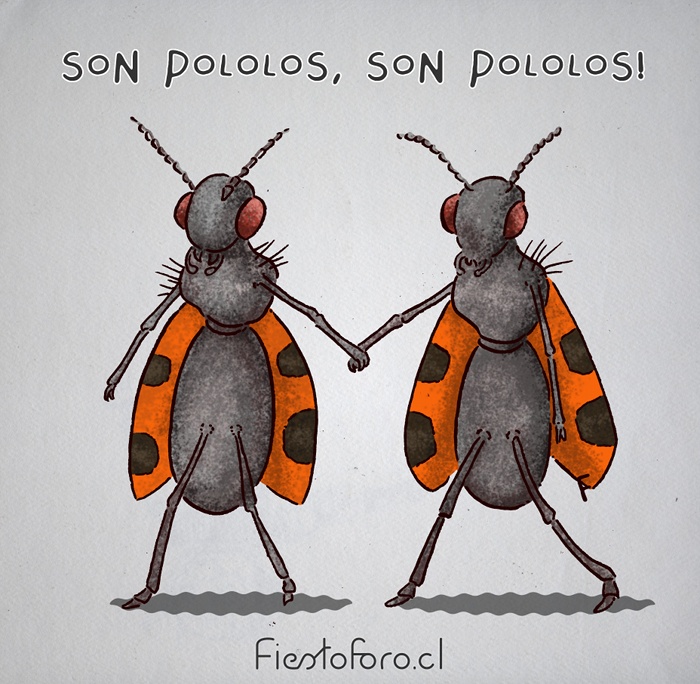Son pololos!