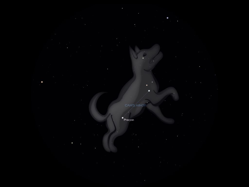 Constellations Canis Minor