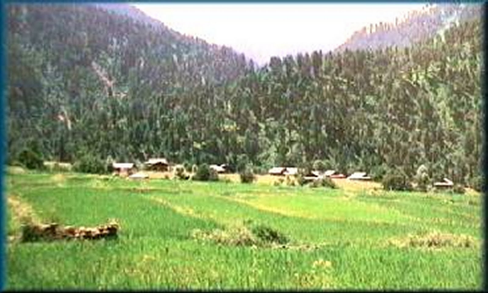 HEAVENLY BEAUTY PAKISTAN: LEEPA VALLEY AZAD KASHMIR,PAKISTAN