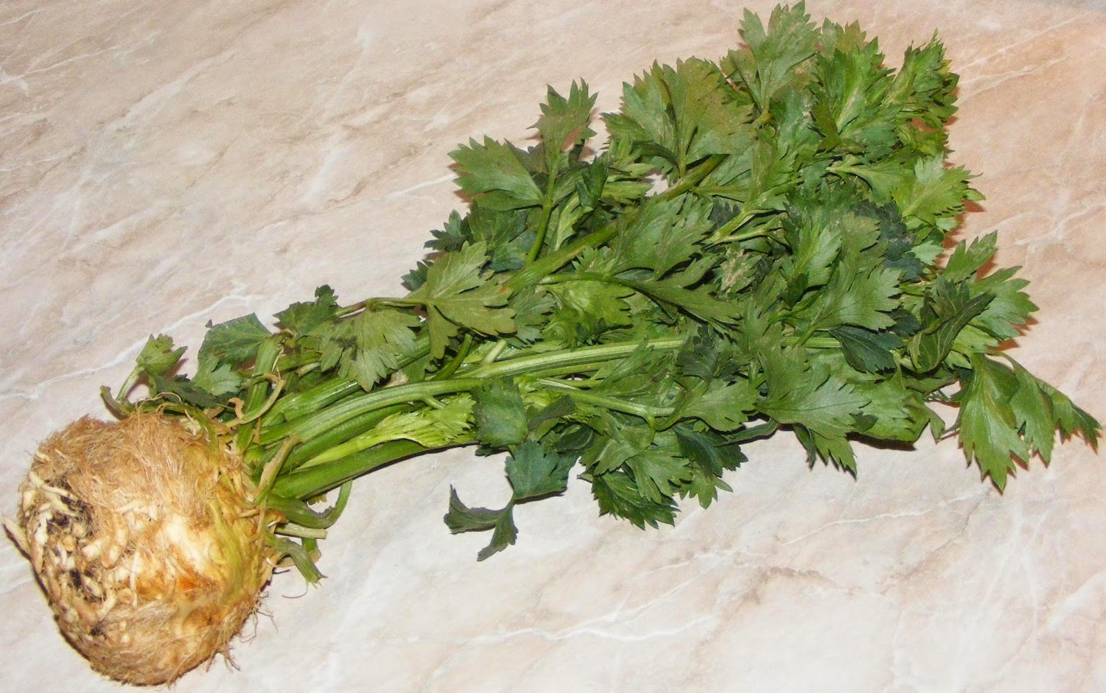 Suc de telina | Preparatedevis.ro