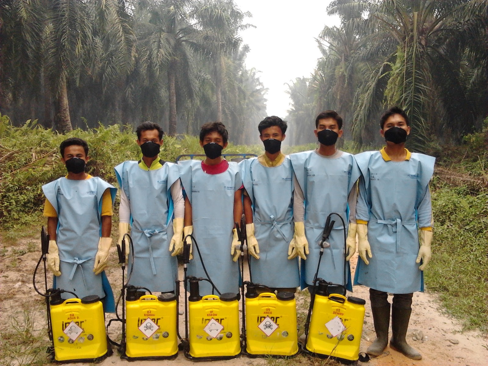 Catatan Anak Sawit: Pengendalian Gulma Kelapa Sawit