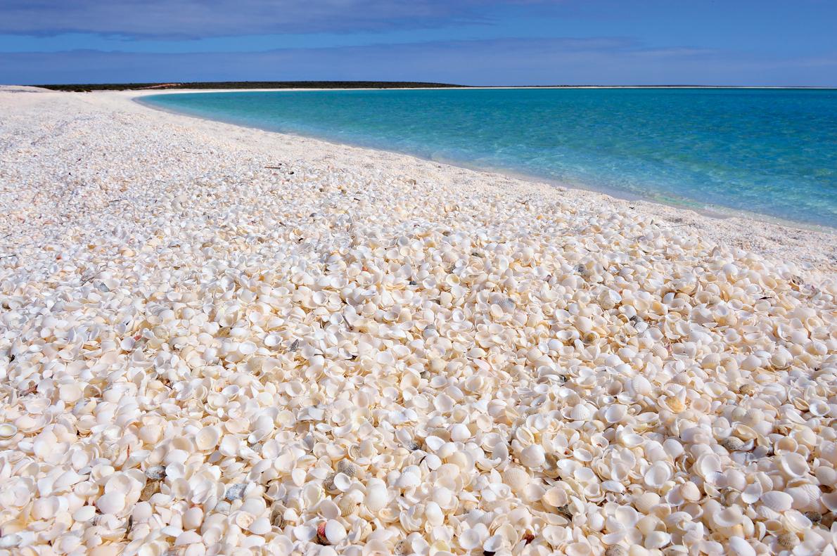 Discover Your Next Destination: Shell Beach, Shark Bay, Western Australia