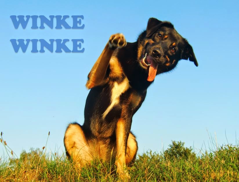 Quero aprender alemão - Deutsch als Fremdsprache: Outubro 2014