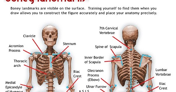 Drawsh: Boney Landmarks