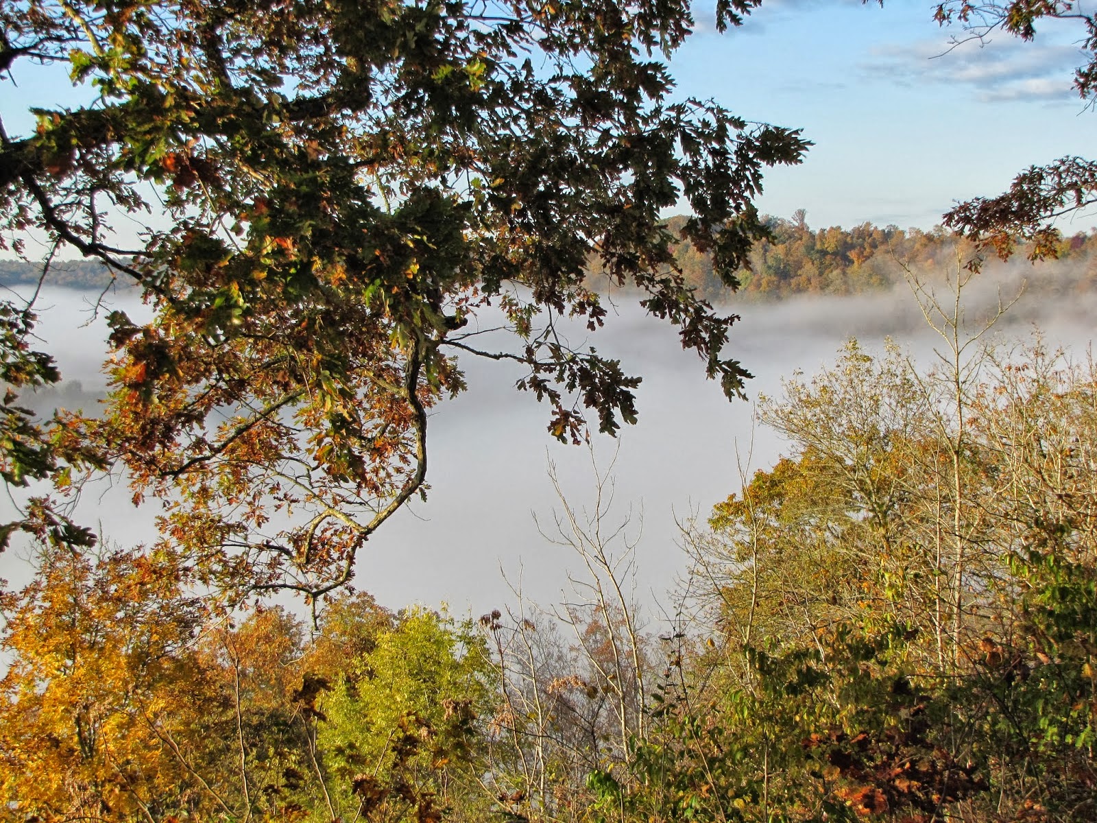 Baker Bluff Overlook