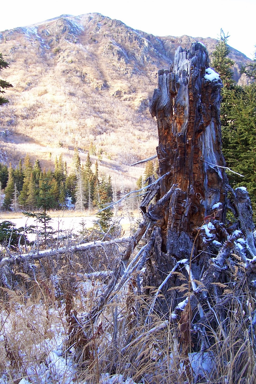 Beaver Creek Cabins & Guide Service: Fuller Lakes Trail