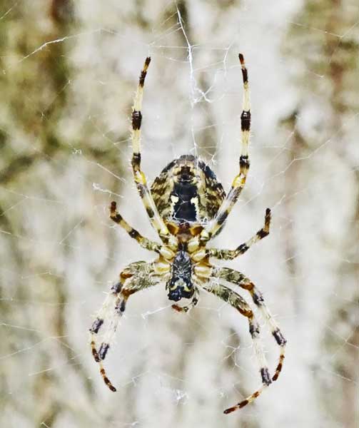 photopol: September 2016