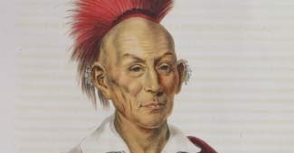 The Digital Research Library of Illinois History Journal™ : The Black ...