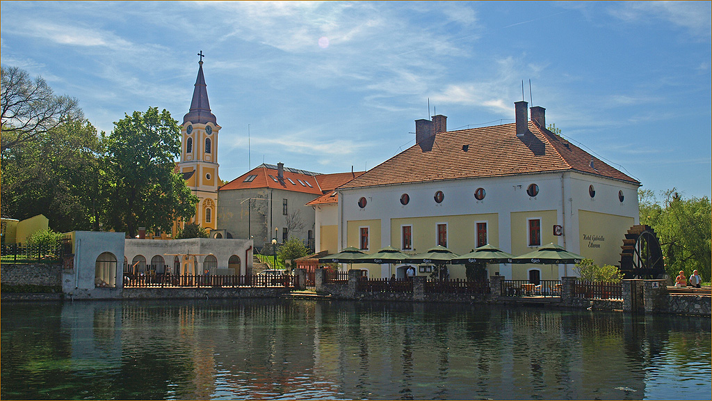 Nádasdi-blog: Kifogták az aranyhalat Tapolcán!