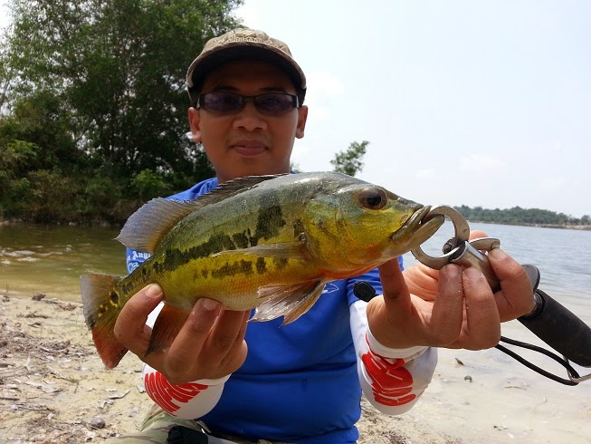 MALAYSIAN FISH HUNTER: April 2015