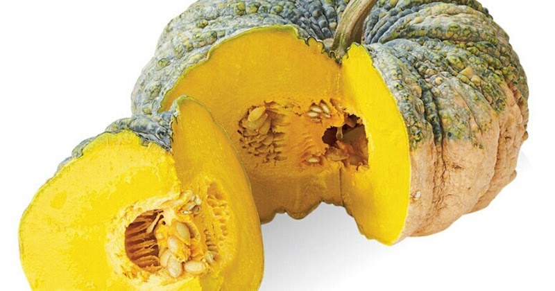 พันธุ์พืช: ฟักทอง (ชื่อวิทยาศาสตร์ : Cucurbita moschata Duchesne)