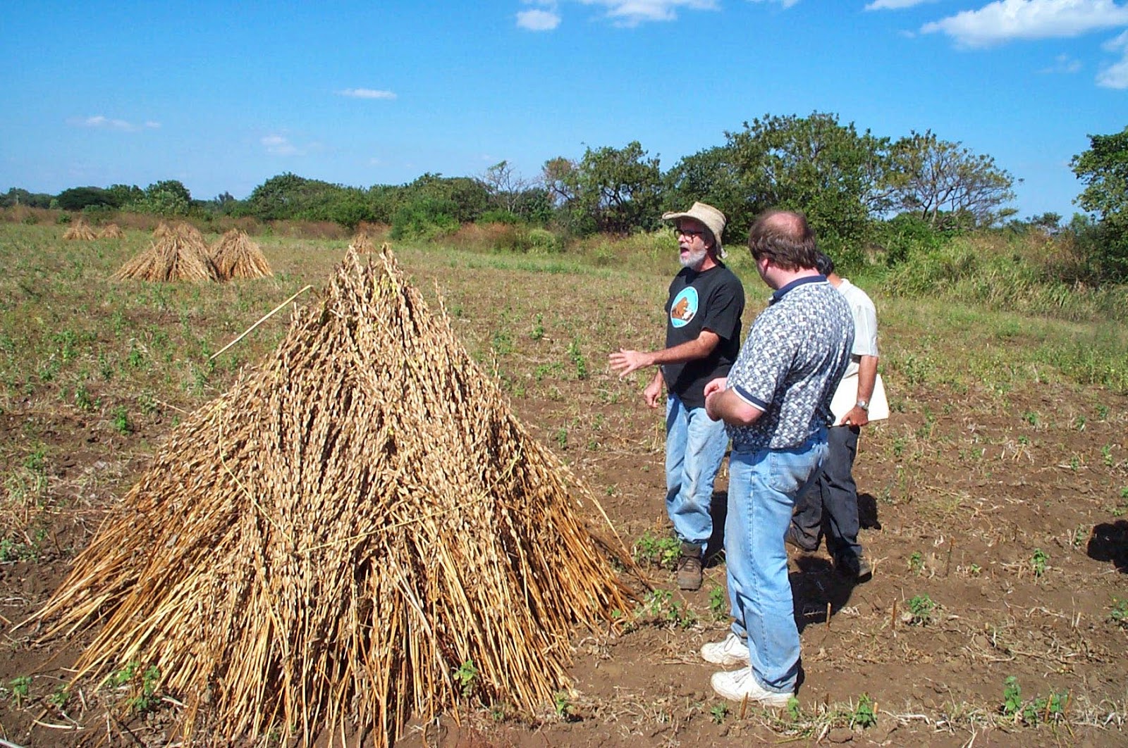 Center for Development in Central America: Tour the Sesame Processing Plant