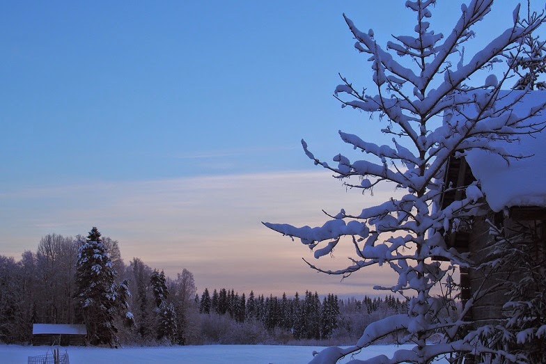 Elämää pellossa: Joulumaisemia