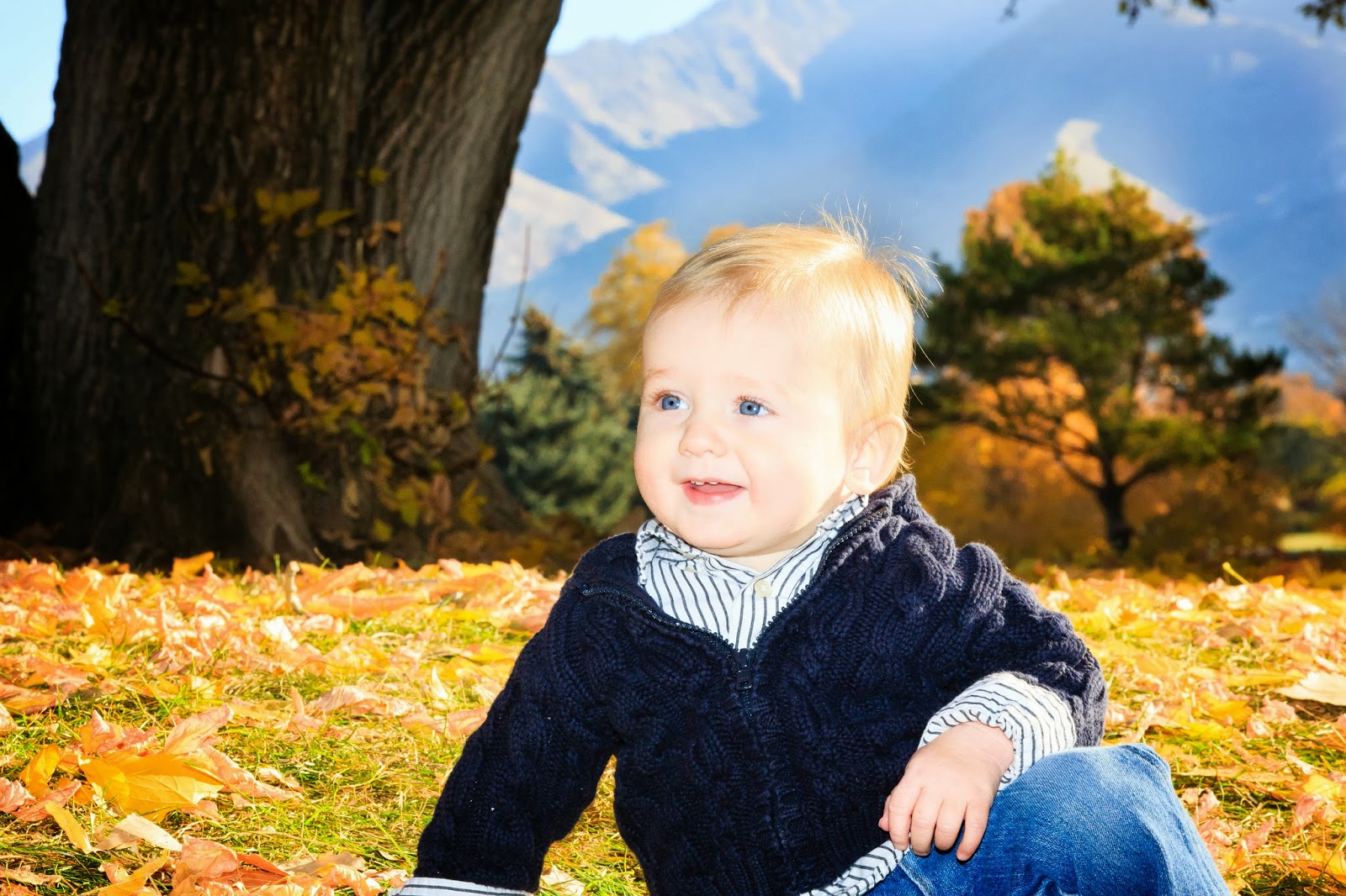 {The Simple Life}: Family Pictures