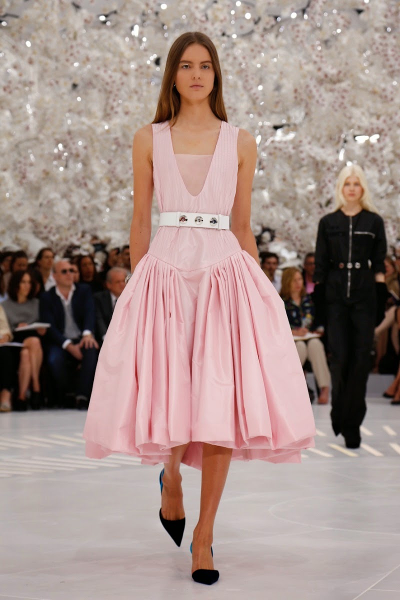 Dior Couture Fall/Winter 2014 Collection