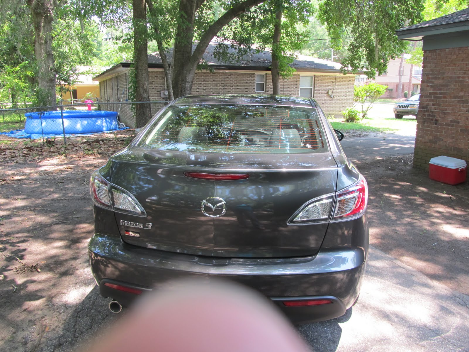 Life of the Frunzi's