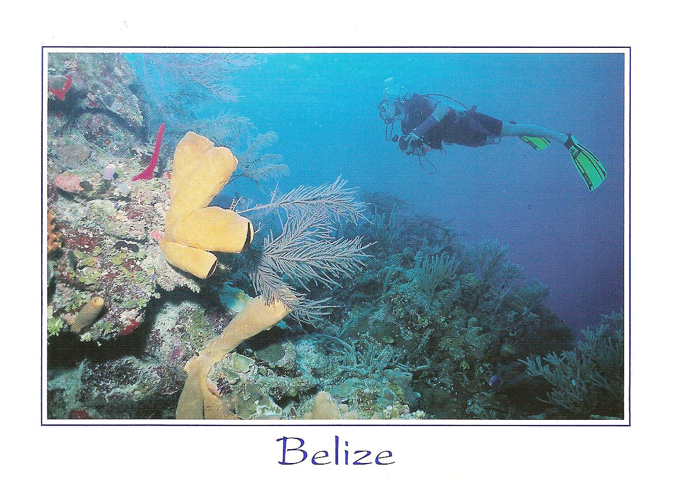 Postcards to Montenegro: Belize Barrier Reef, Belize