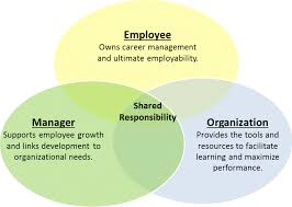 Human Resource Management: APPROACHES TO HR STRATEGY DEVELOPMENT