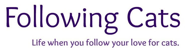 Top 25 Pet Blogs In 2020