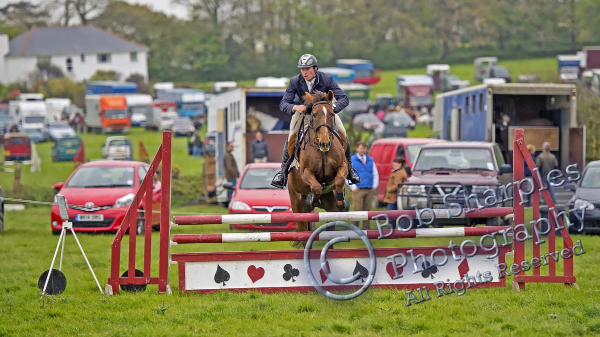 Photography by Bob Sharples: Helston Flora Horse Show 2014