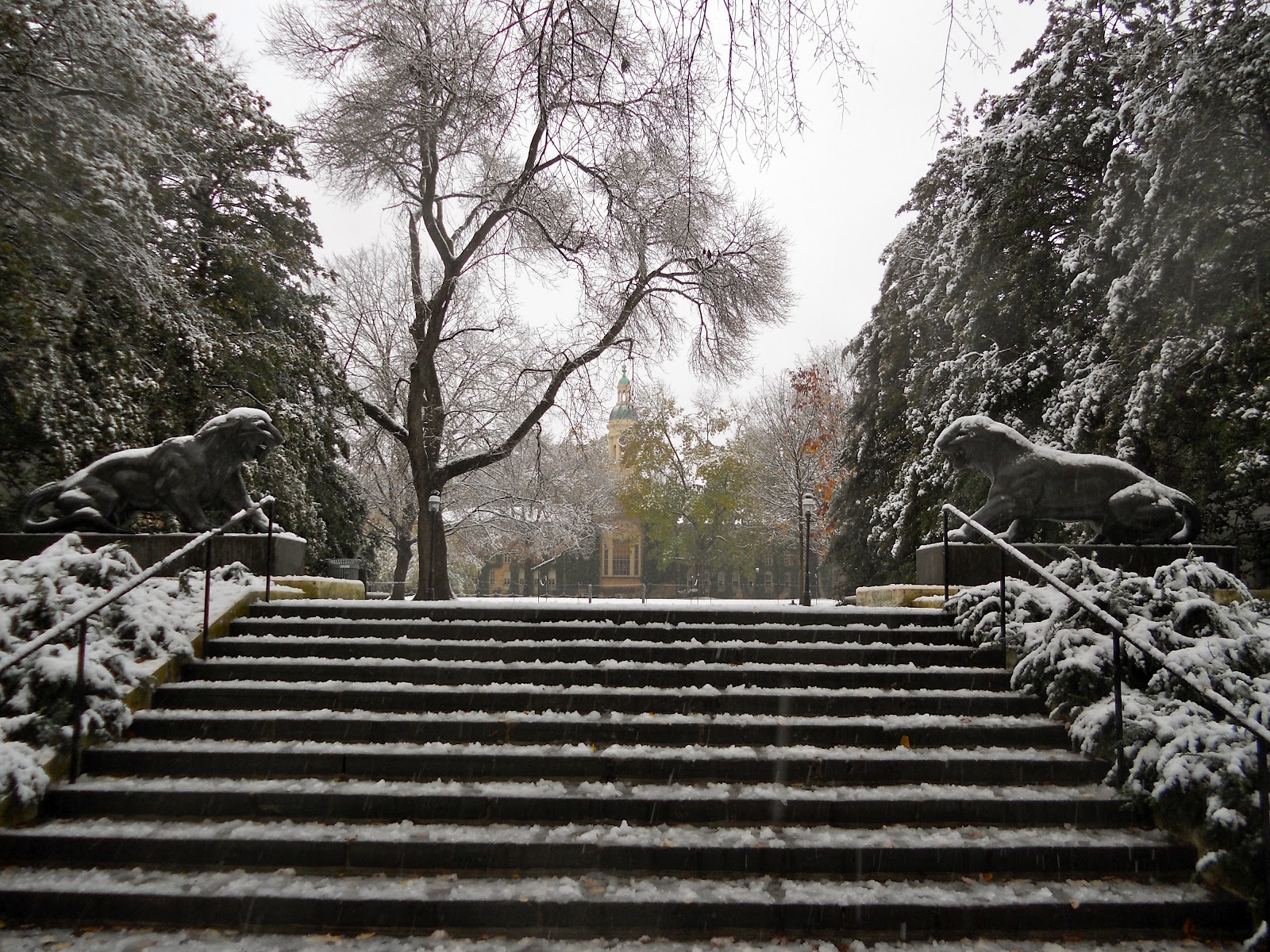 Nature Photography: First Snow at Princeton
