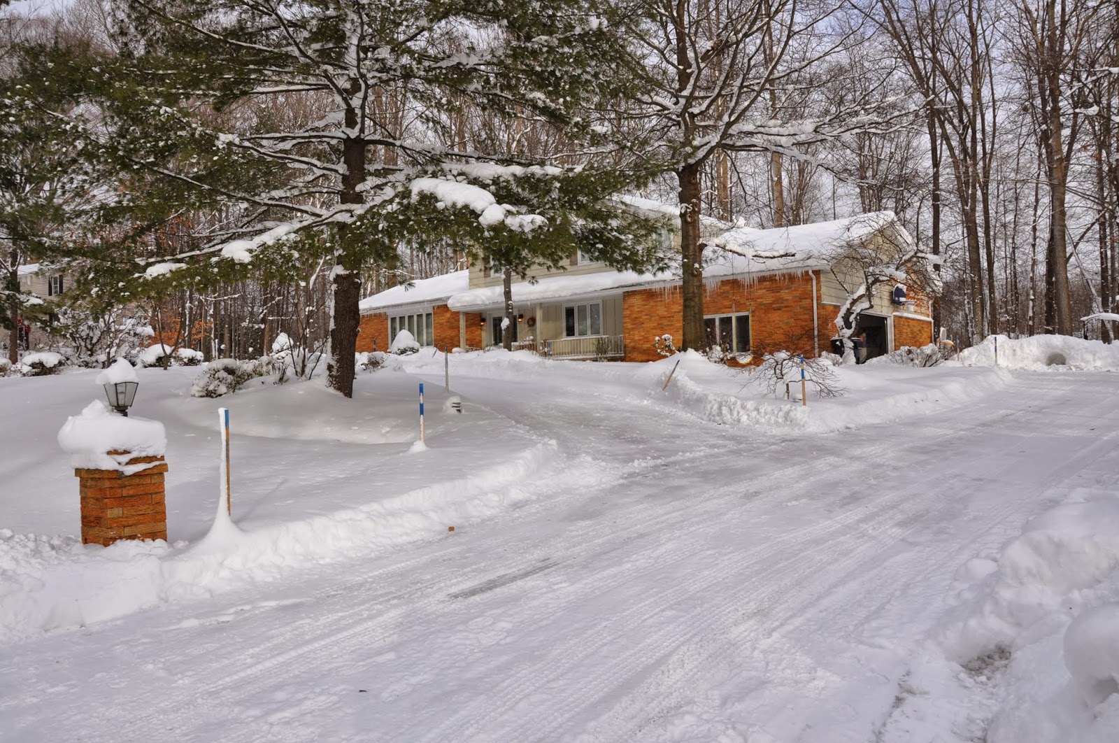 Gardeners with kids: Do we have enough winter interest in our garden?