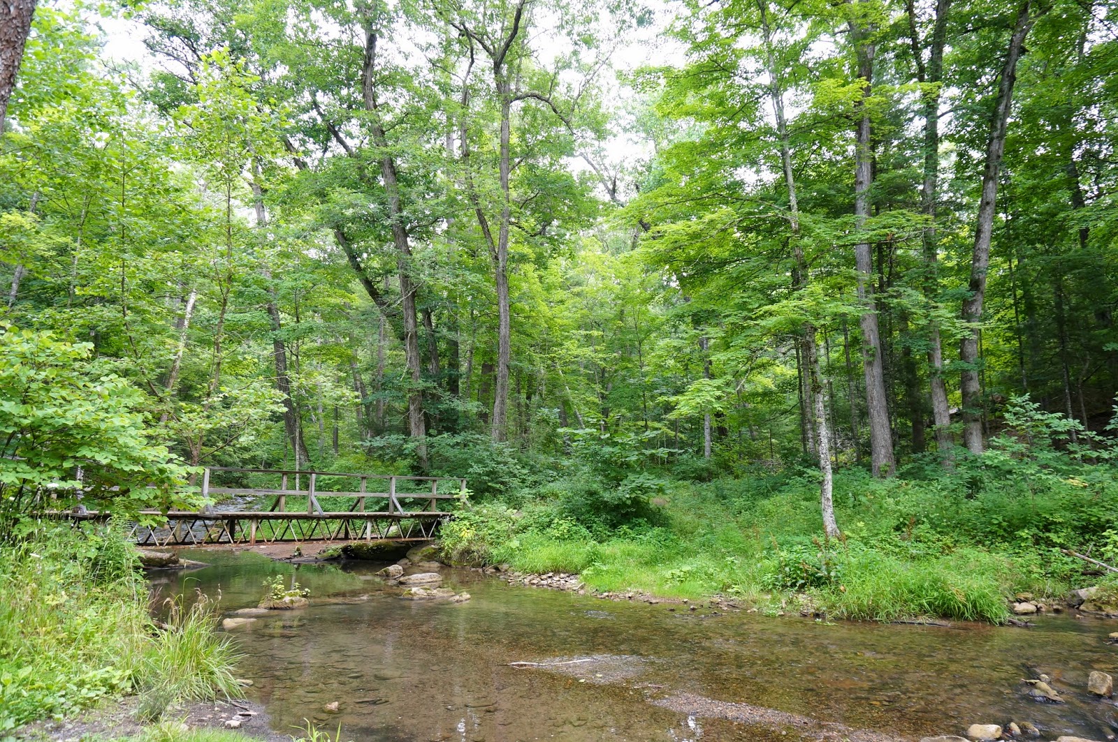 The Curious Lark: Garth Newel :: Waterfall Wanderings