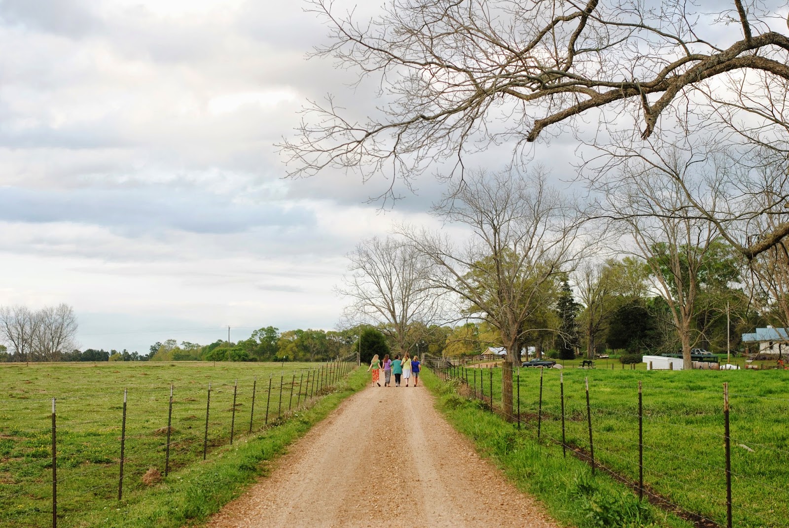 Double M Photography: Afternoon Walk | Day 93 of 365