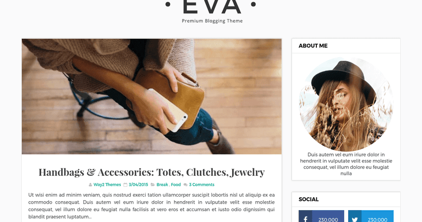Eva Fashion Blogger Template - Way2themes