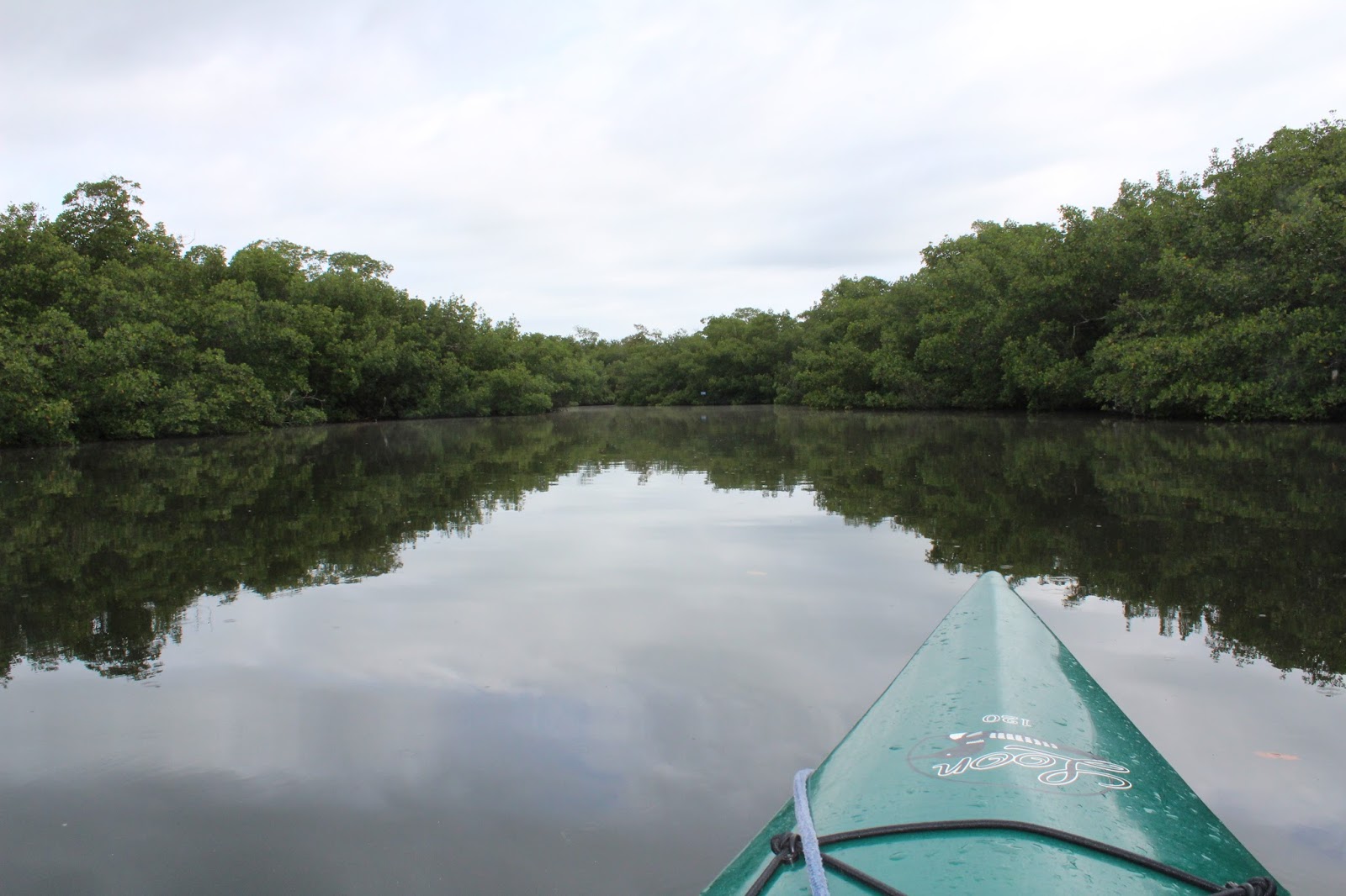 Cruising - Team Rogers: Kayaking the Ding Darling Trail