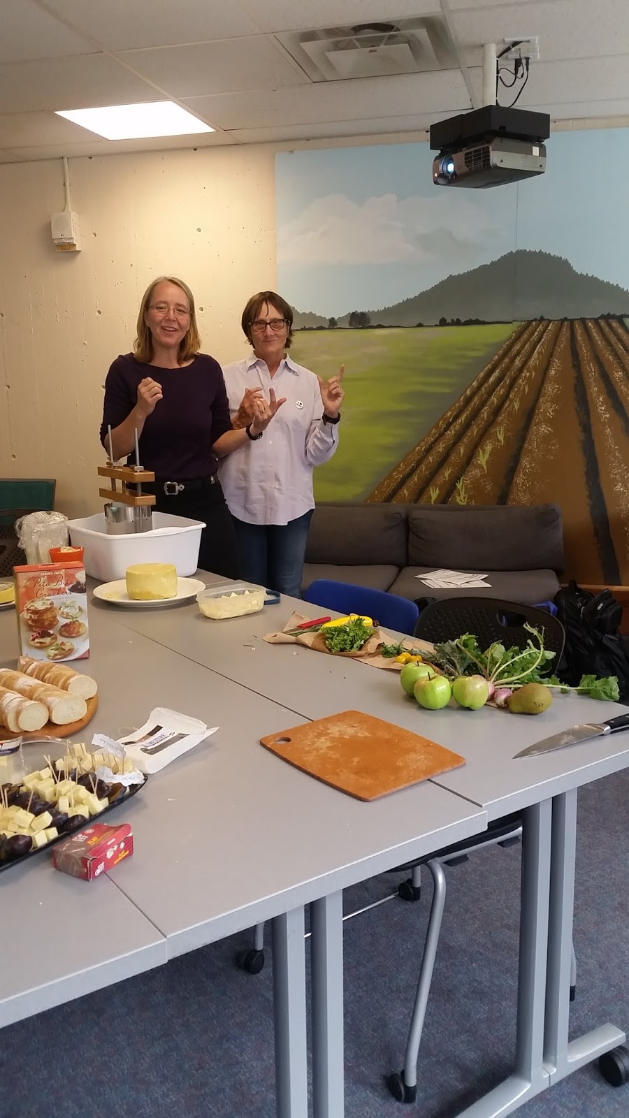 CHEESE — classes, field trips, excursions to Switzerland, home cheese ...