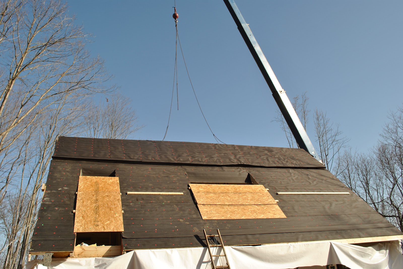 Our New House: Raising the Roof
