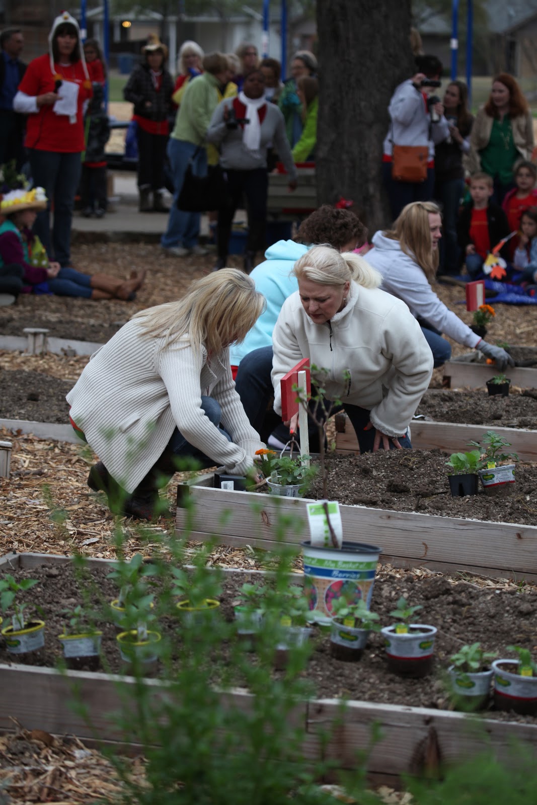 Moss Haven Farm: Spring Planting Day