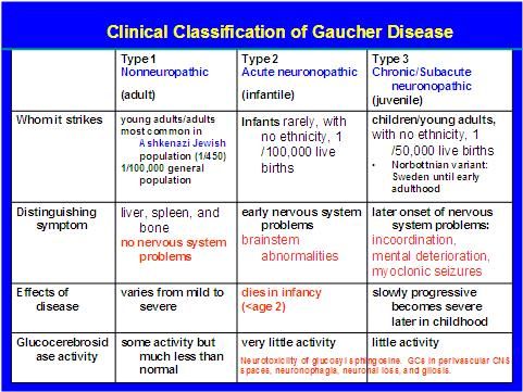 Check this detailed short overview of Gaucher's disease!!!